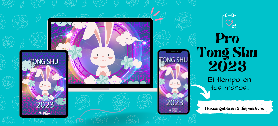 Pro Tong Shu 2023- Digital (1100 × 500 px) – Feng Shui Cancun